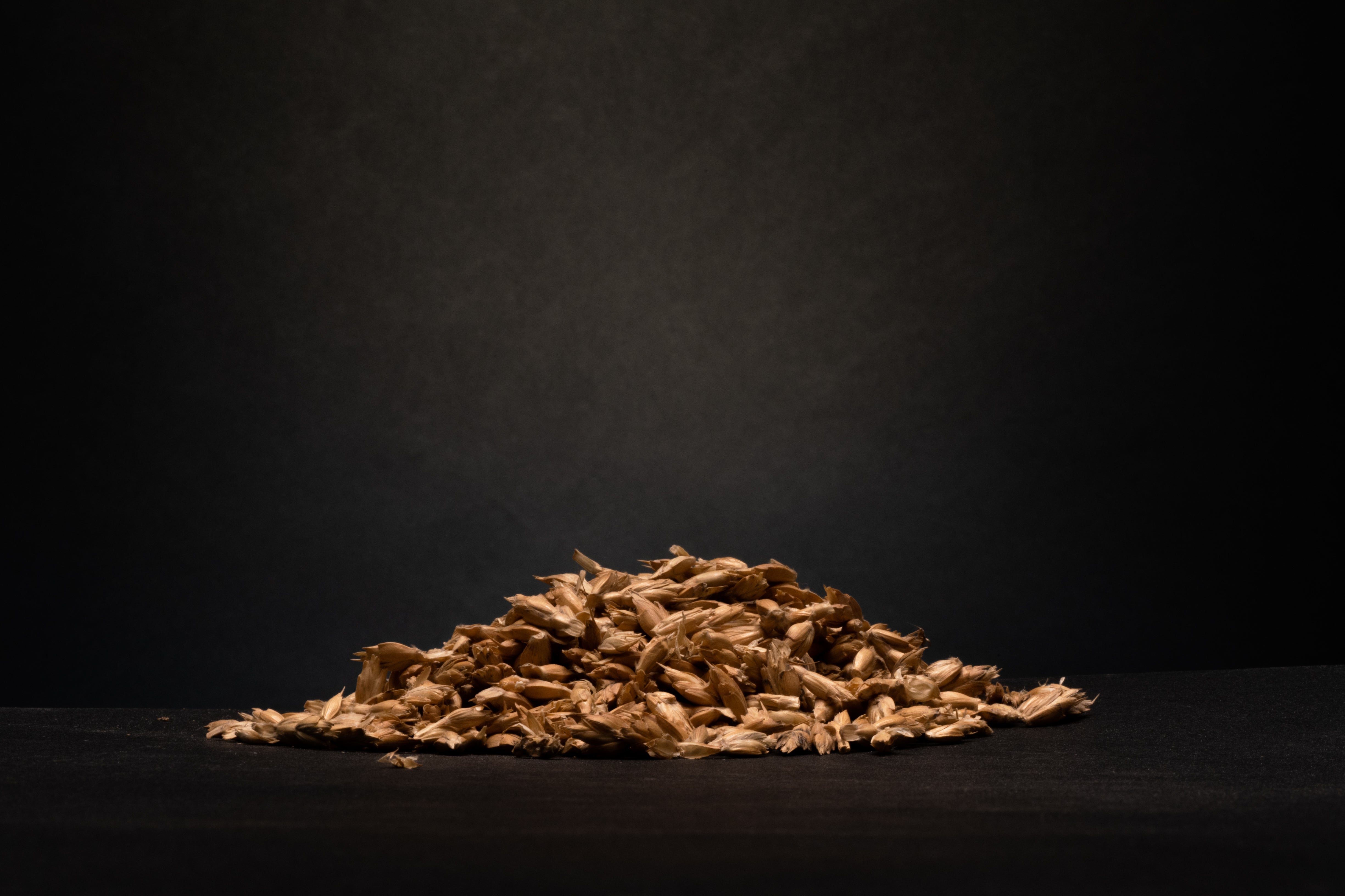 The Power of Spelt: 5 Ways This Ancient Grain Boosts Gut Health – Fusek ...